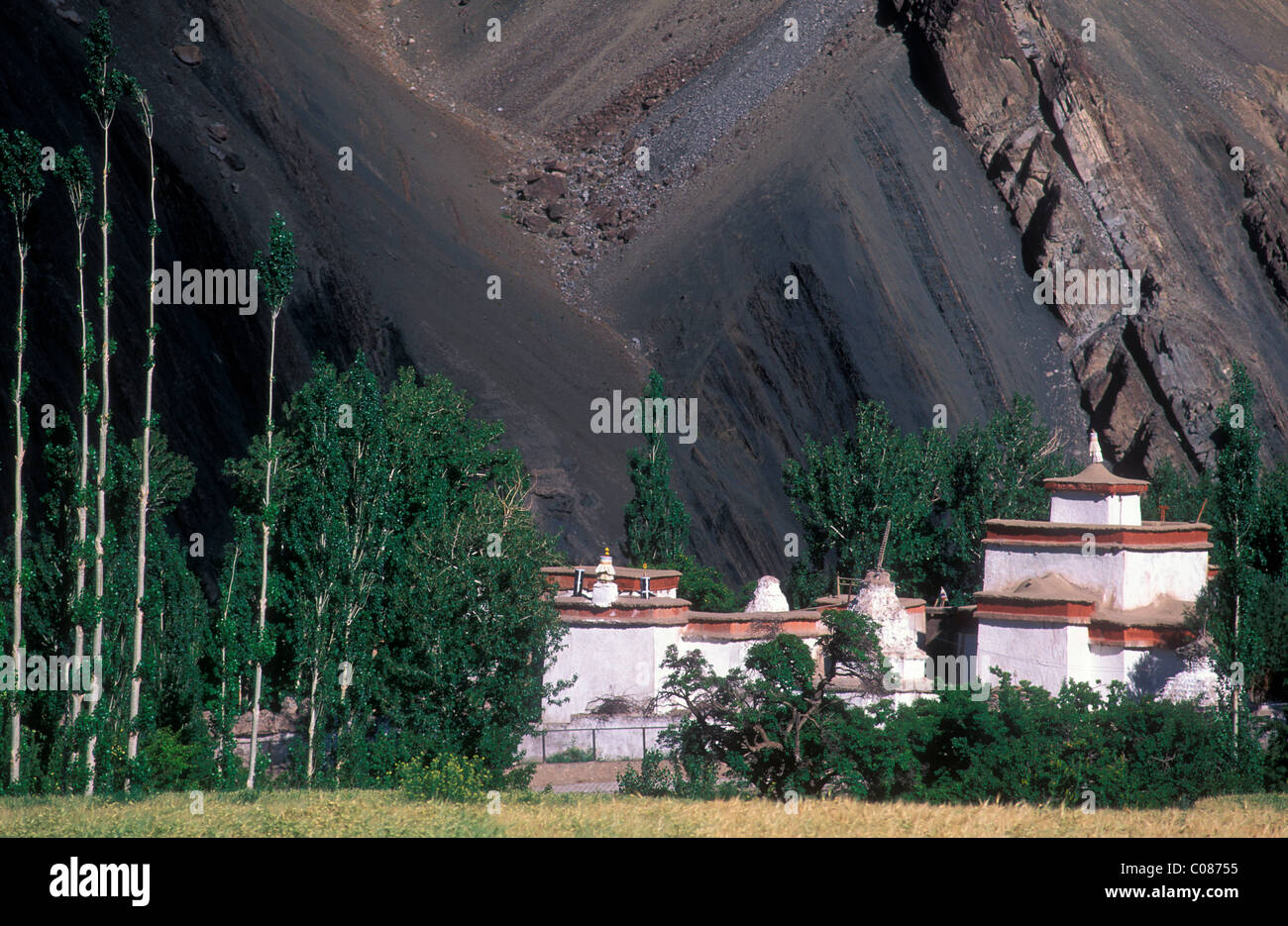Buddhist monastery Alchi, Ladakh, Himalaya, Jammu and Kashmir, North ...
