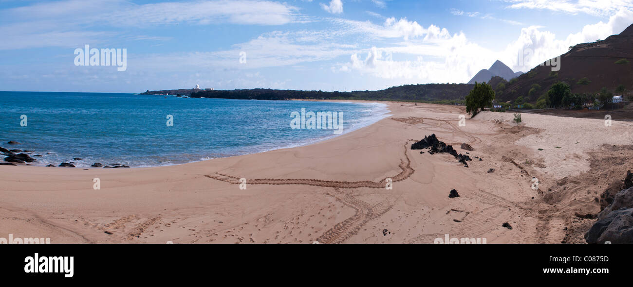 green sea turtle nesting area on beach Ascension Island South Atlantic ...