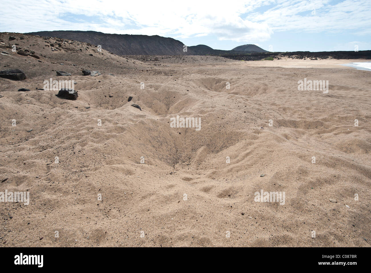 green sea turtle nesting area on beach Ascension Island South Atlantic ...