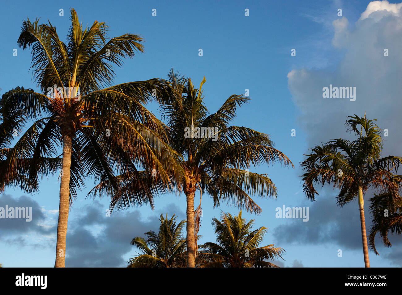 Indian Key Florida Stock Photo - Alamy