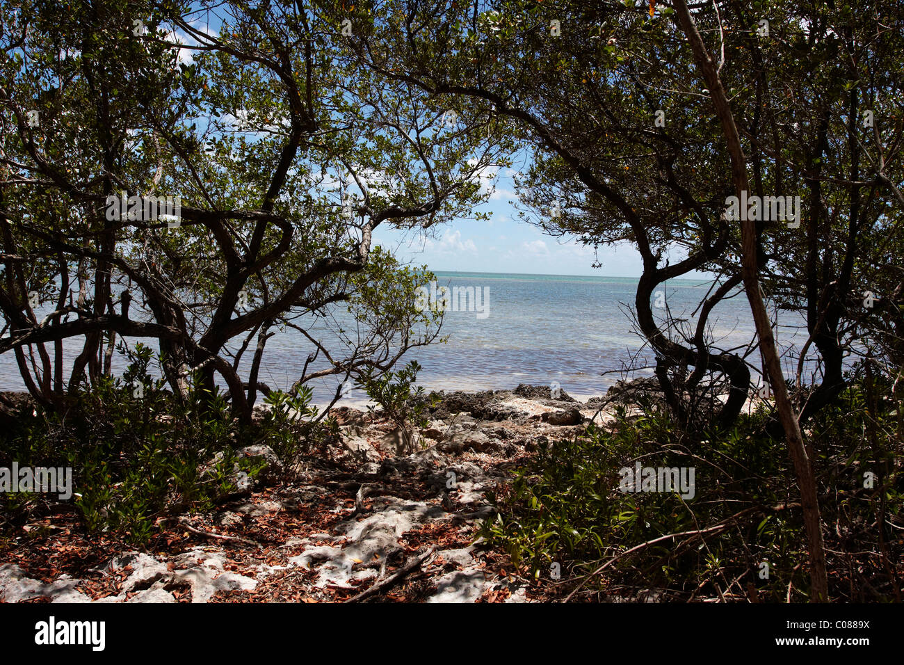 Indian Key Florida Stock Photo - Alamy