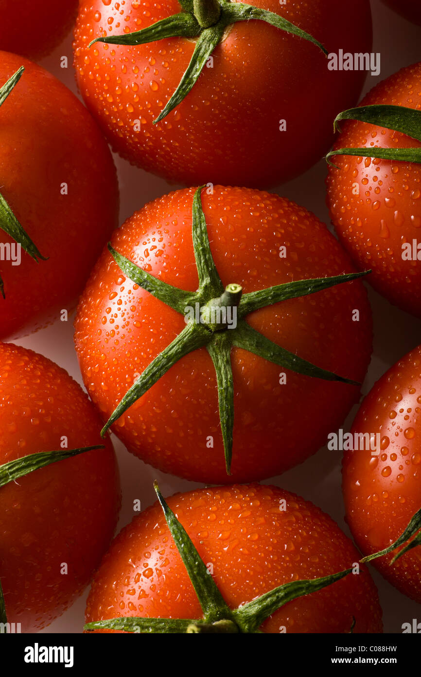 Fresh red vine tomatoes hi-res stock photography and images - Alamy