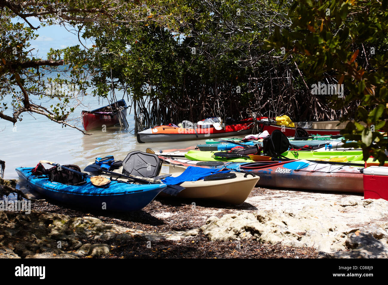 Indian key beach hi-res stock photography and images - Alamy