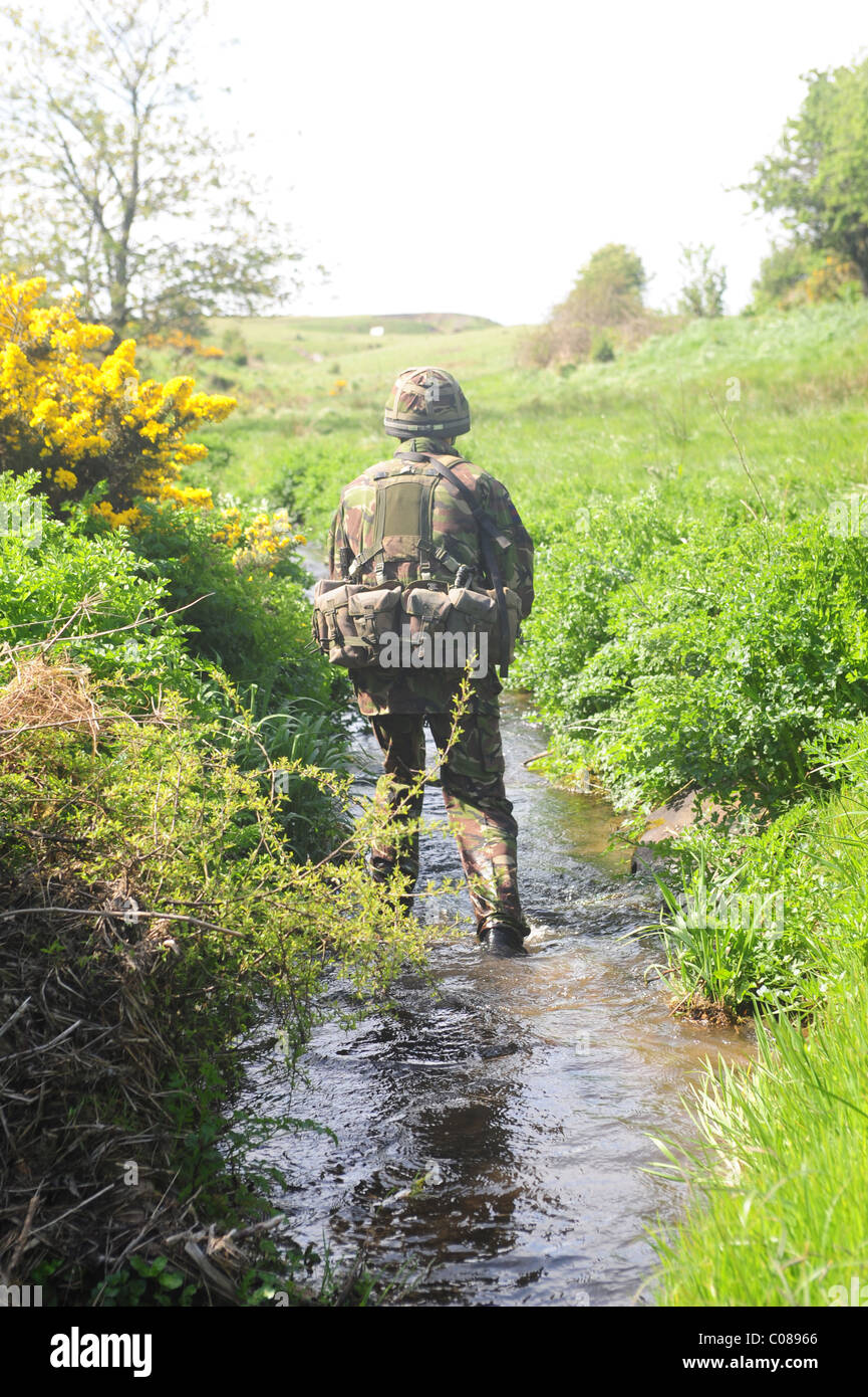 Joint forces exercise hi-res stock photography and images - Alamy