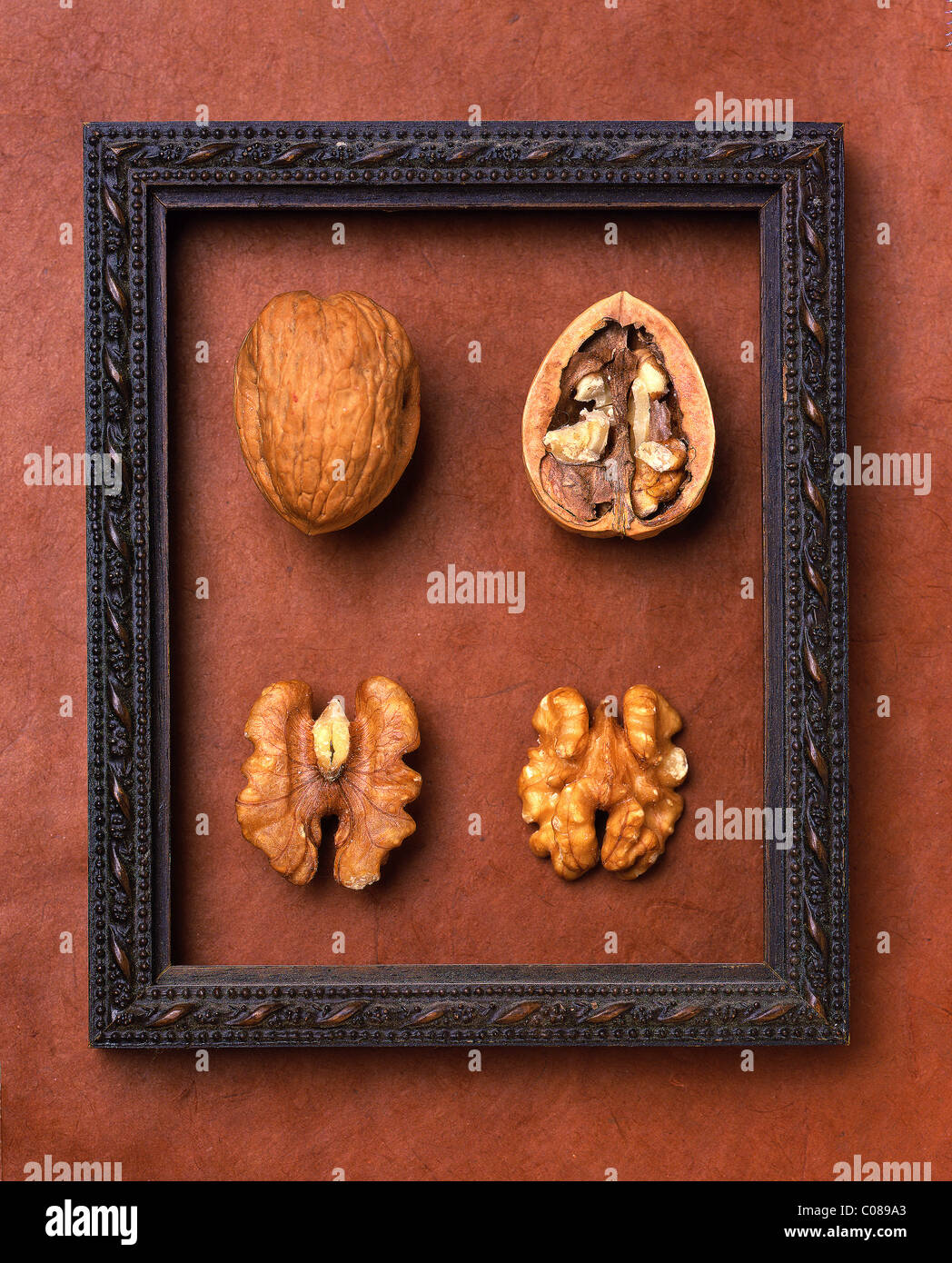 walnuts with rich hues of brown; in and out of shell Stock Photo - Alamy