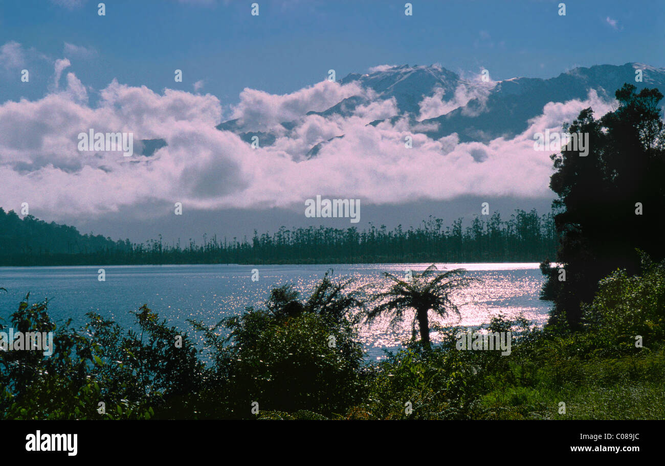 Lake Wahapo with Kahikatea swamp forest and Southern Alps, New Zealand ...
