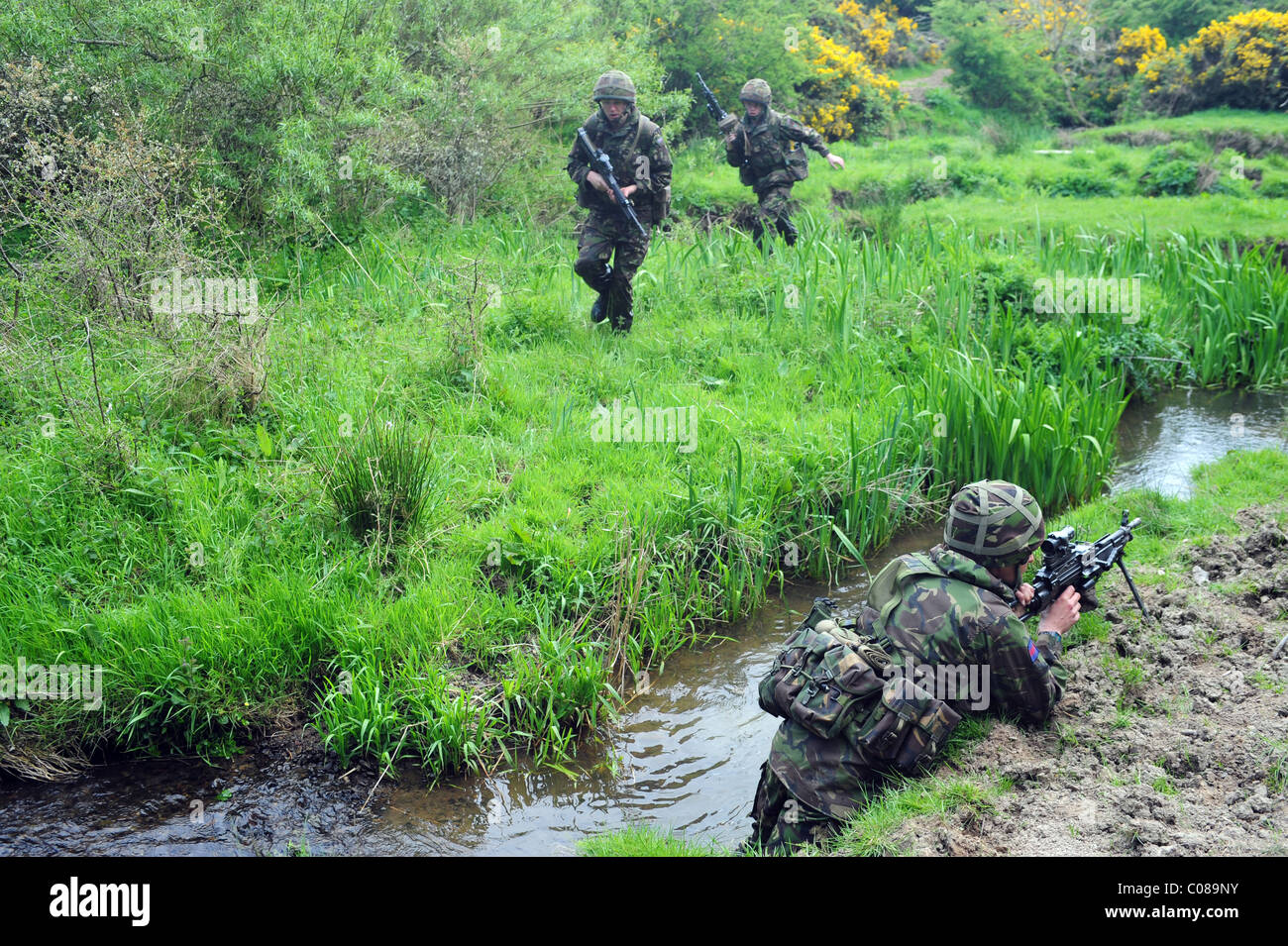 JOINT WARRIOR 09-1 is a major exercise involving all three UK services ...