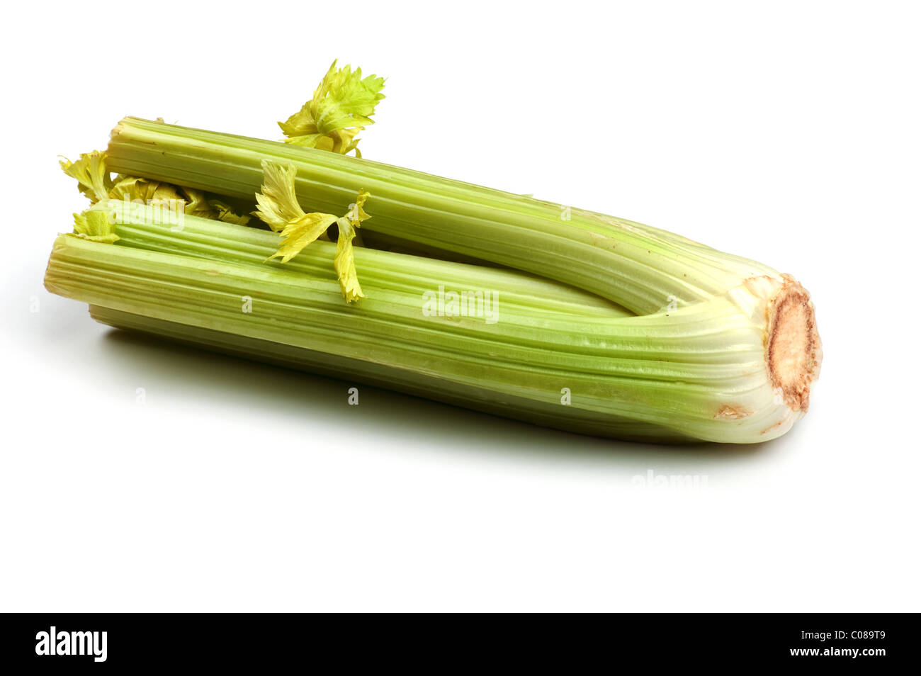 object on white - food celery close up Stock Photo - Alamy