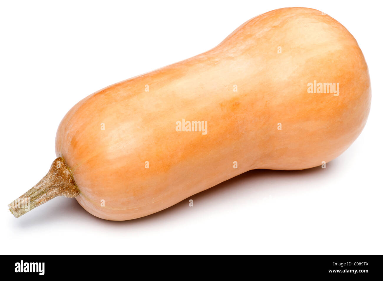 Close up white pumpkin Cut Out Stock Images & Pictures - Alamy