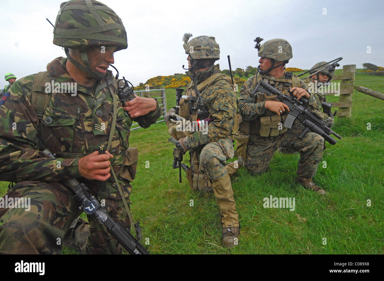 JOINT WARRIOR 09-1 is a major exercise involving all three UK services ...