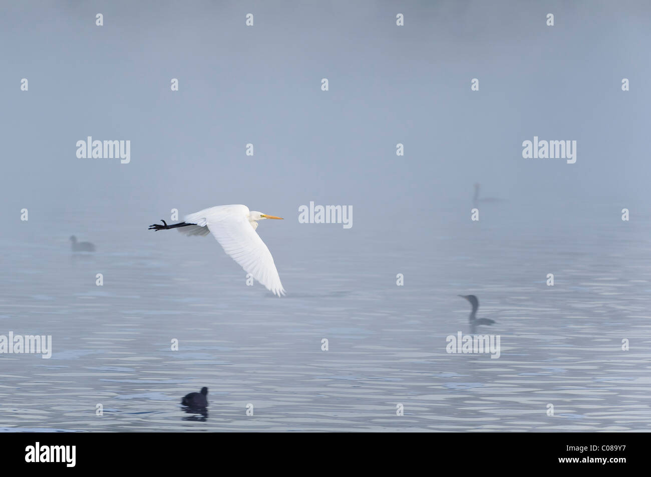 Flying misty lake atmospheric hi-res stock photography and images - Alamy