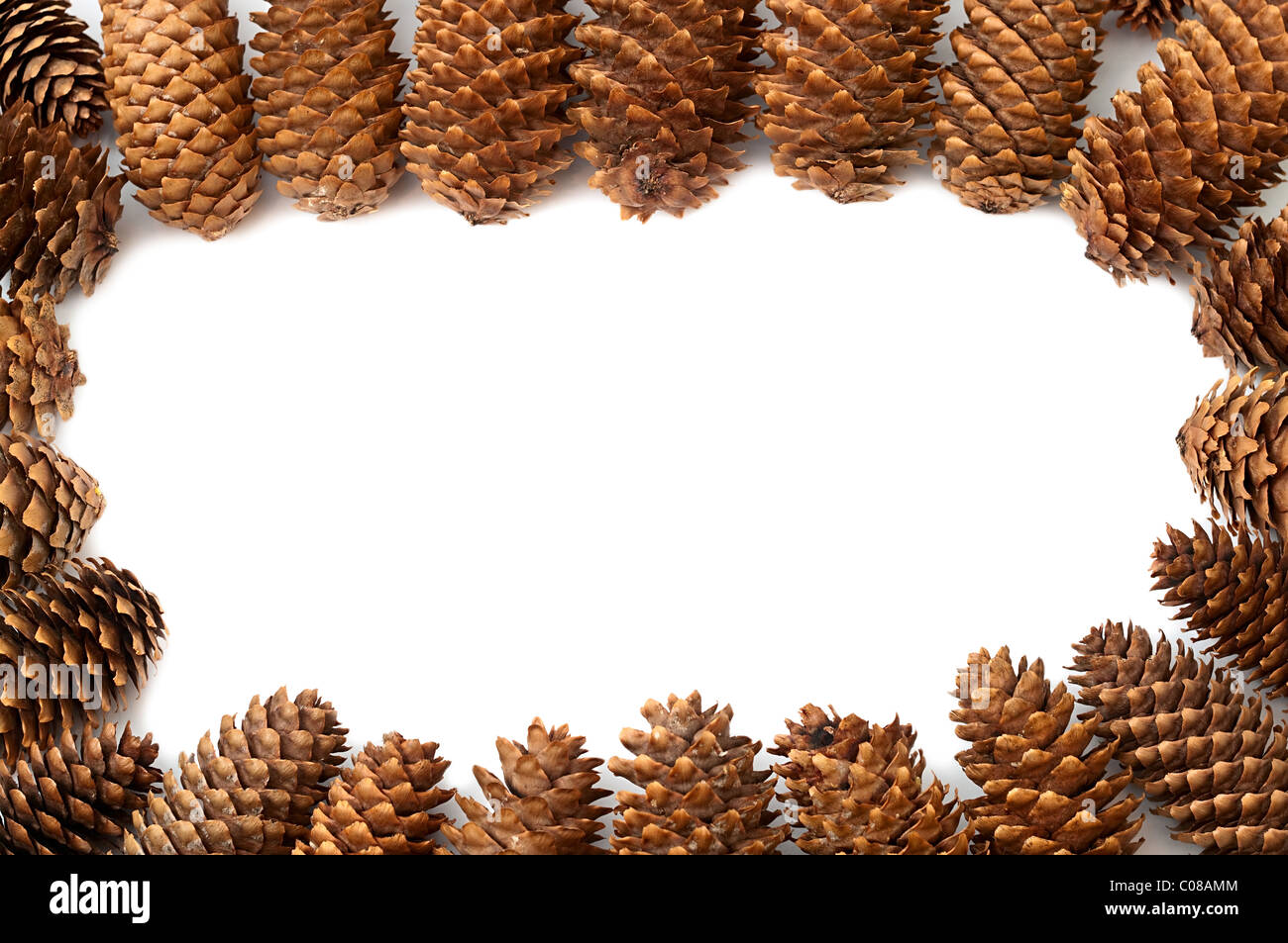 Oval shaped cones hi-res stock photography and images - Alamy