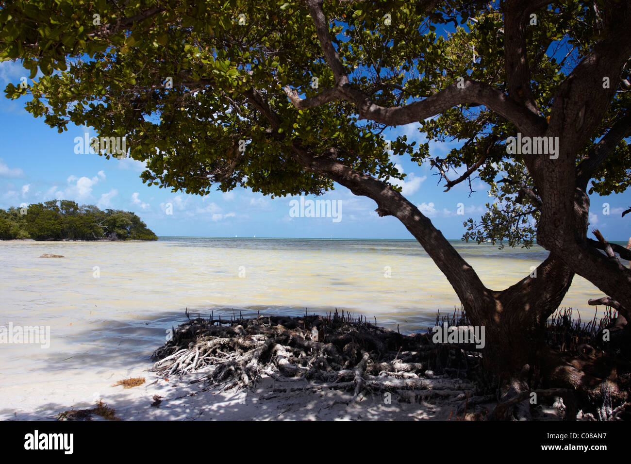 Florida Beach Anne's beach Stock Photo - Alamy