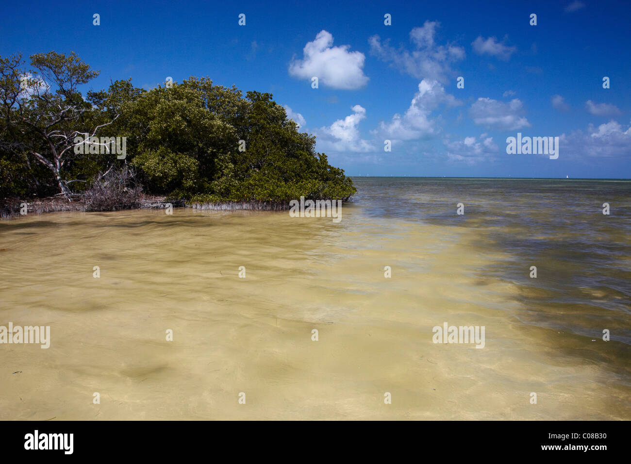 Florida Anne's Beach Stock Photo - Alamy