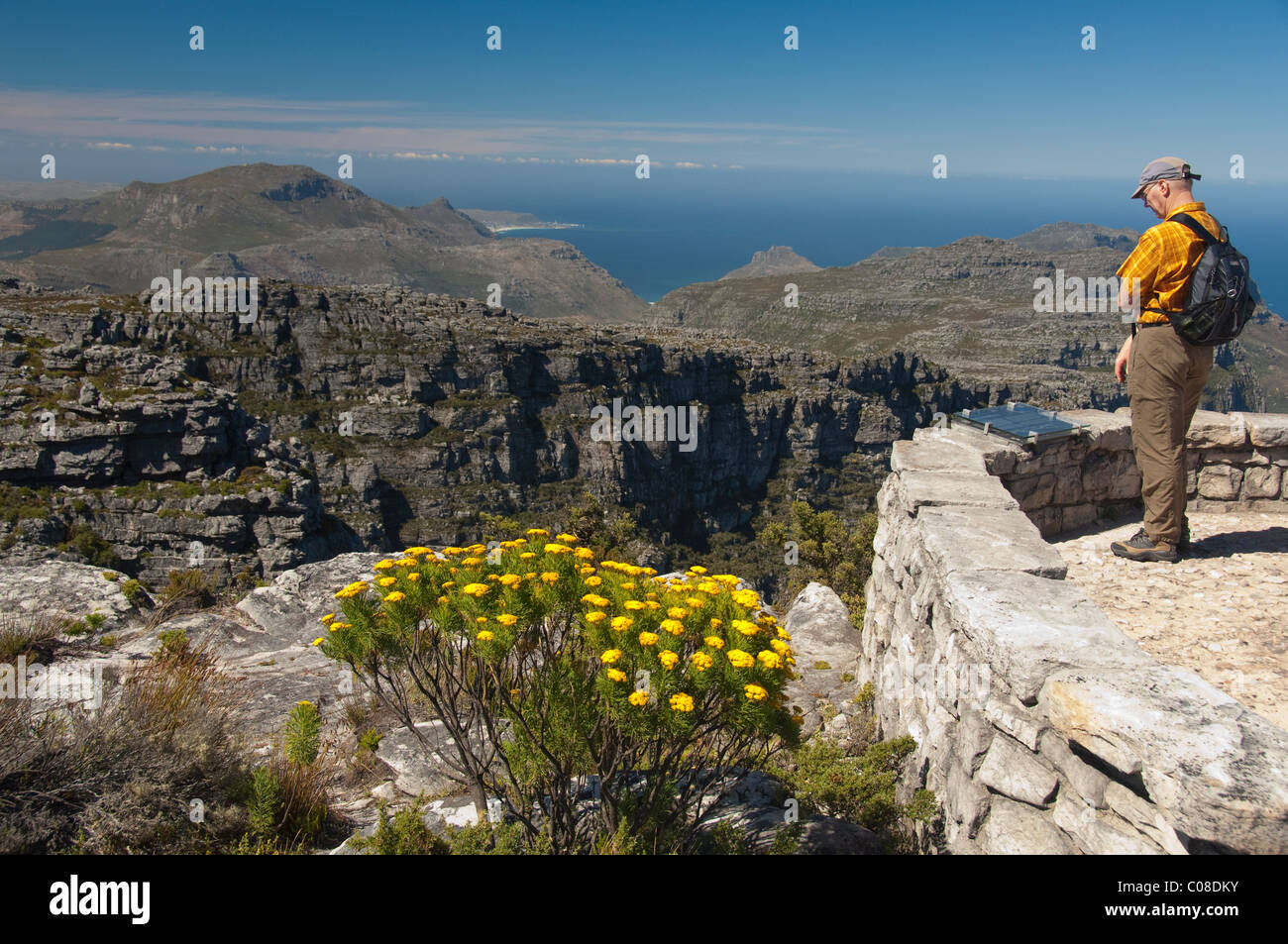 South Africa, Cape Town, Table Mountain. View from the top of Table ...