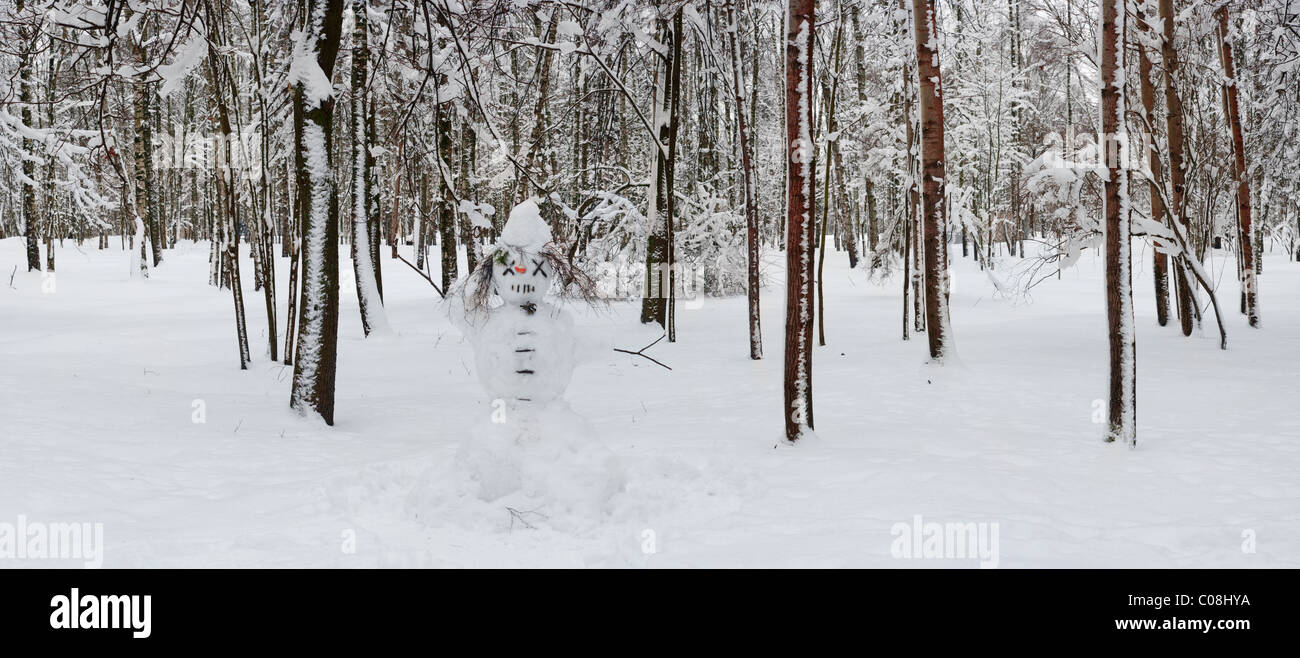 The snowman standing among trees in winter park Stock Photo - Alamy