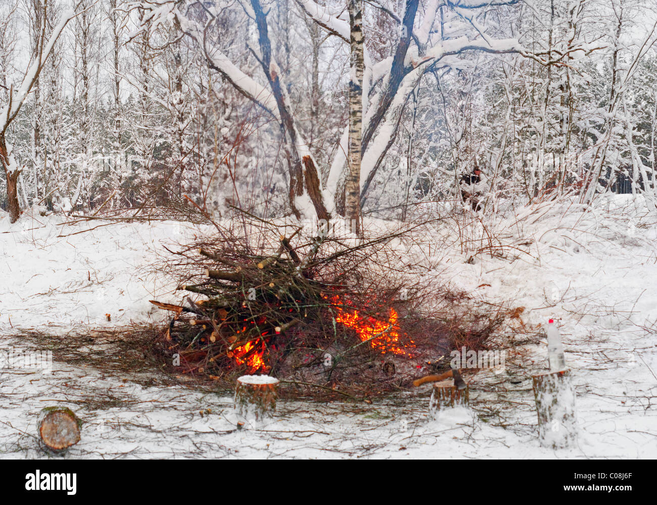 Forest firewall hi-res stock photography and images - Alamy