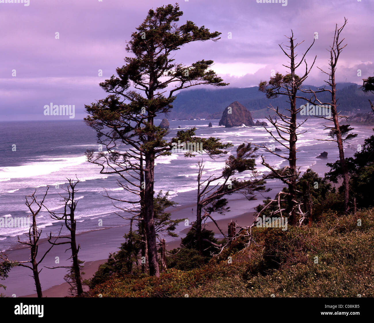 Haystack Rock seen from Oregon Coast Stock Photo - Alamy