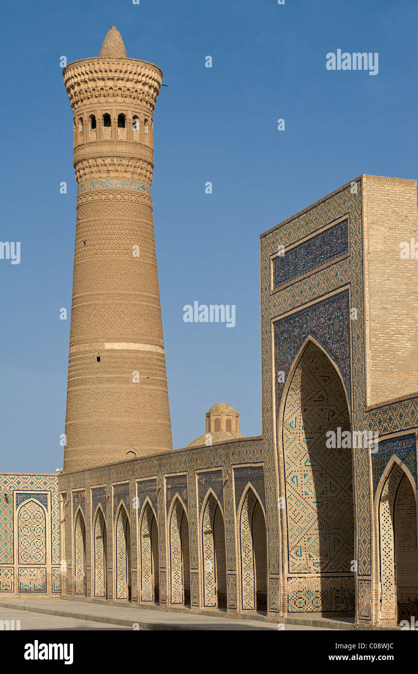 The Kalon Minaret, Kalon Mosque, Bukhara, Uzbekistan Stock Photo - Alamy