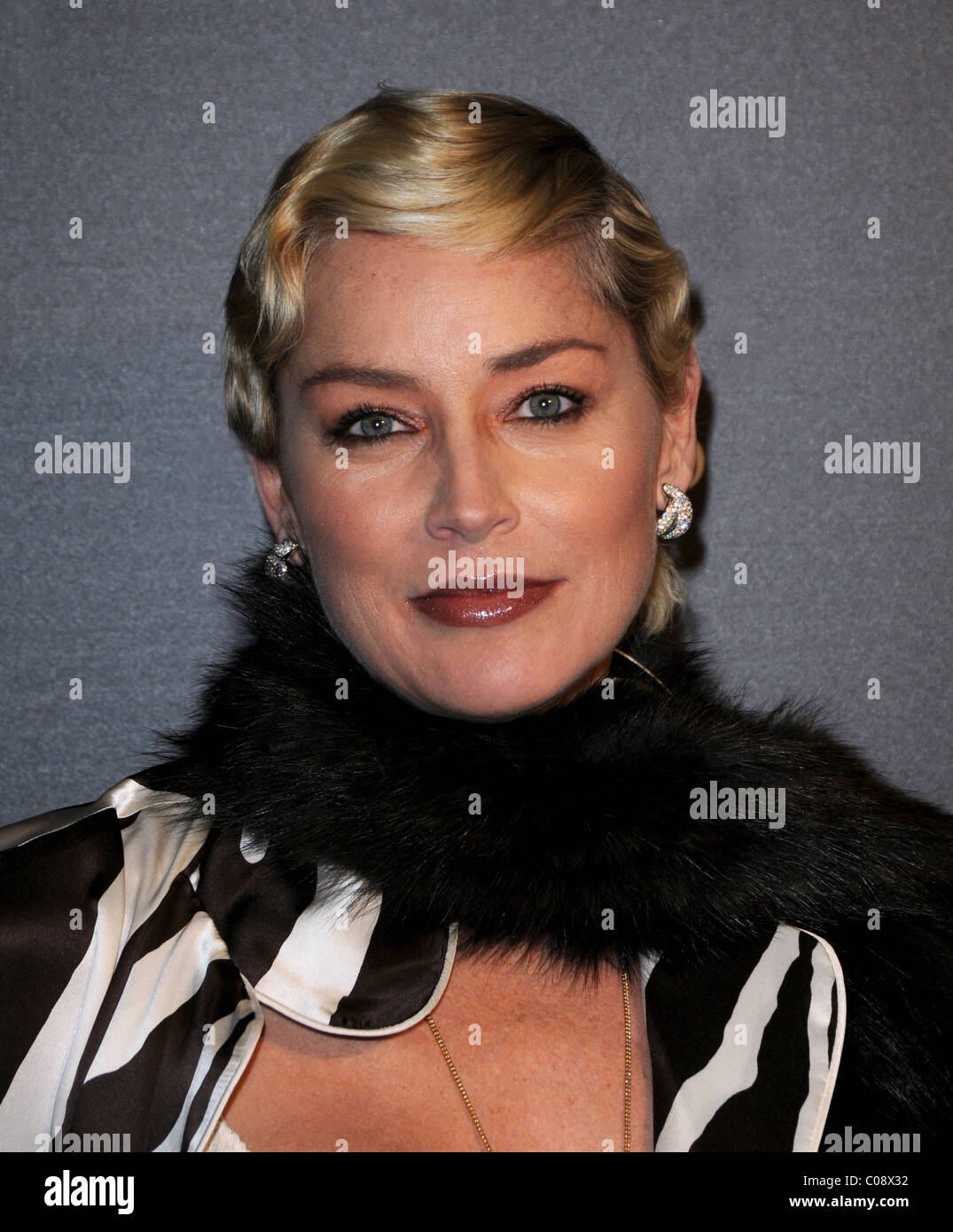 Sharon Stone Diamond Information Center Gala Dinner Hosted by Julianne ...