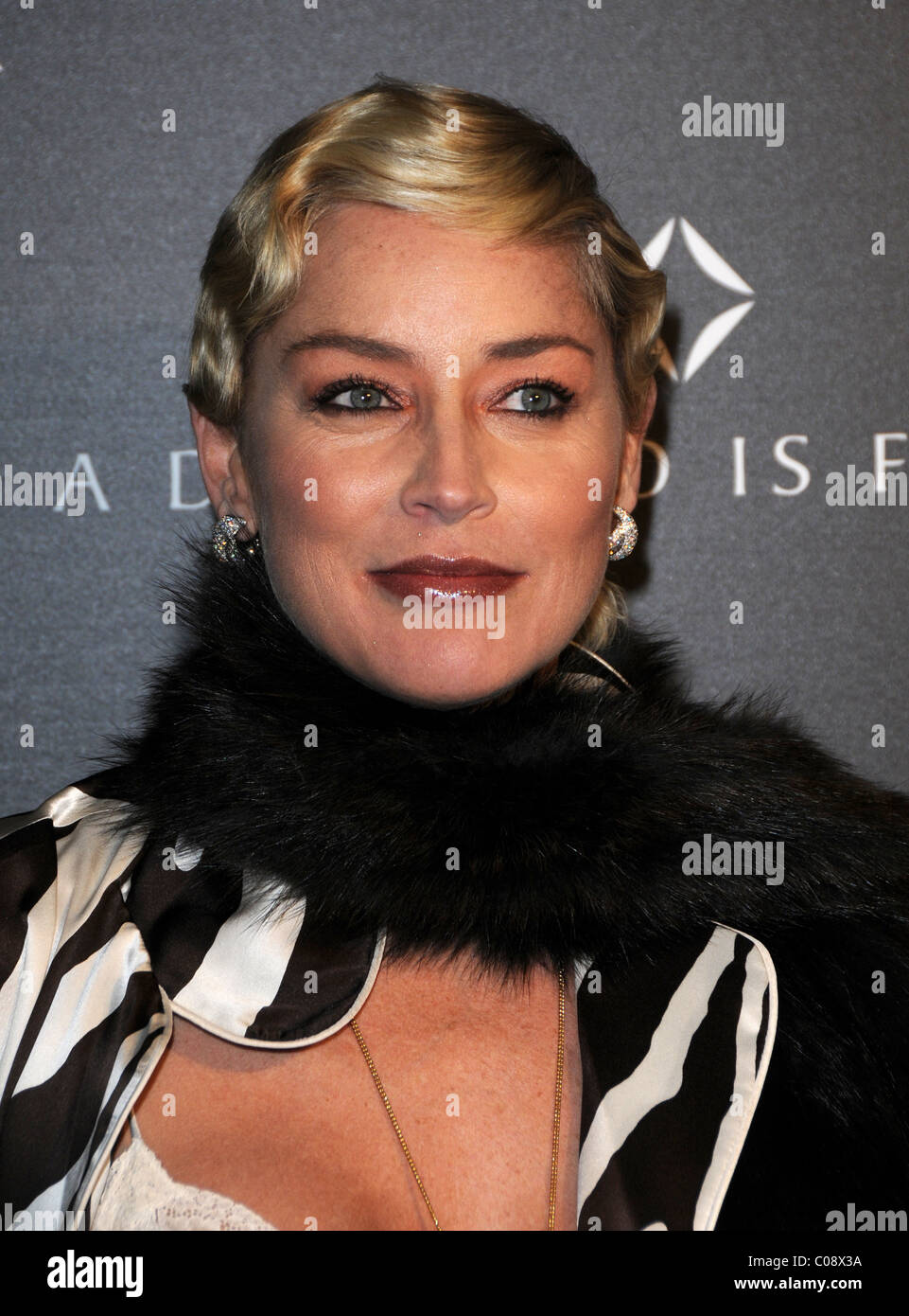 Sharon Stone Diamond Information Center Gala Dinner Hosted by Julianne ...