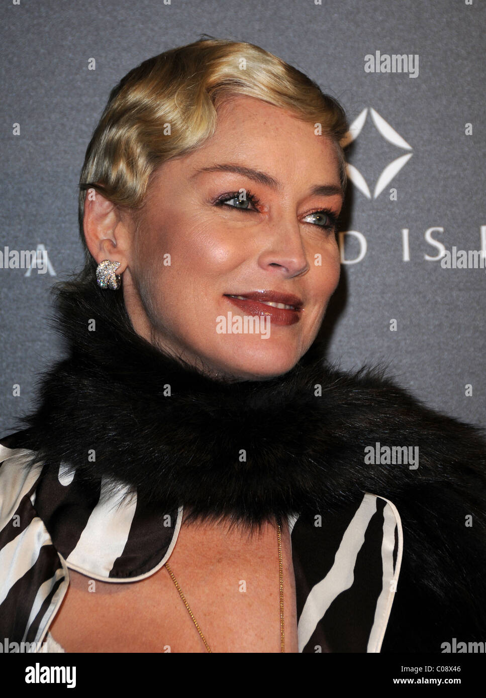 Sharon Stone Diamond Information Center Gala Dinner Hosted by Julianne ...