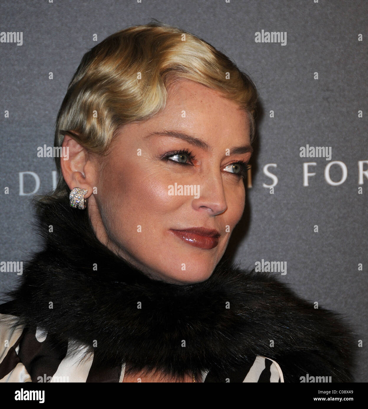 Sharon Stone Diamond Information Center Gala Dinner Hosted by Julianne ...