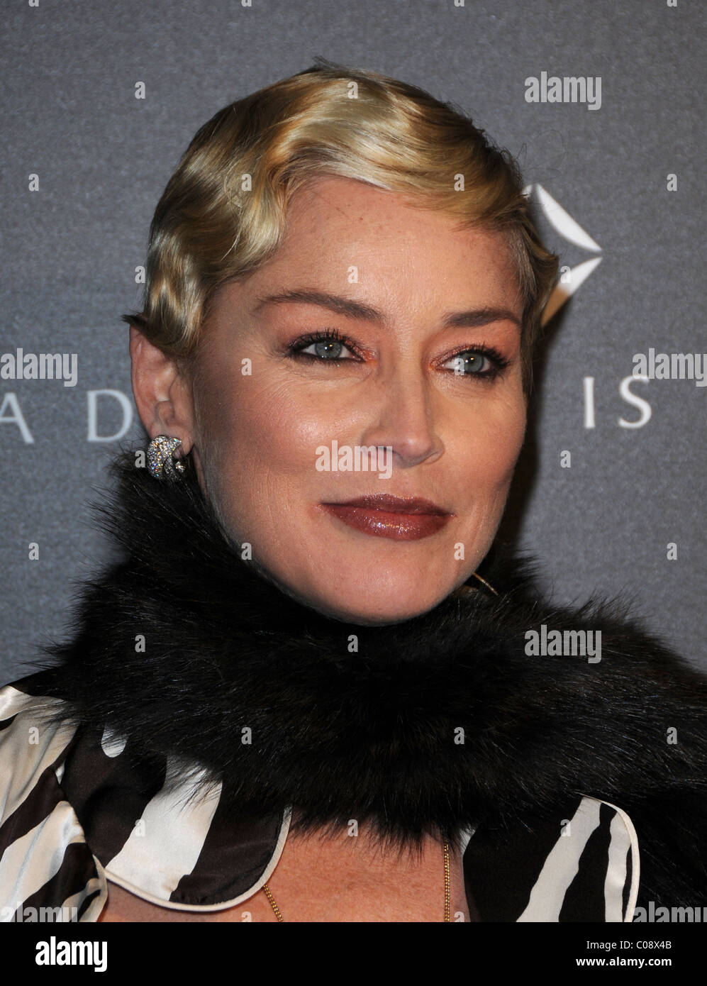 Sharon Stone Diamond Information Center Gala Dinner Hosted by Julianne ...
