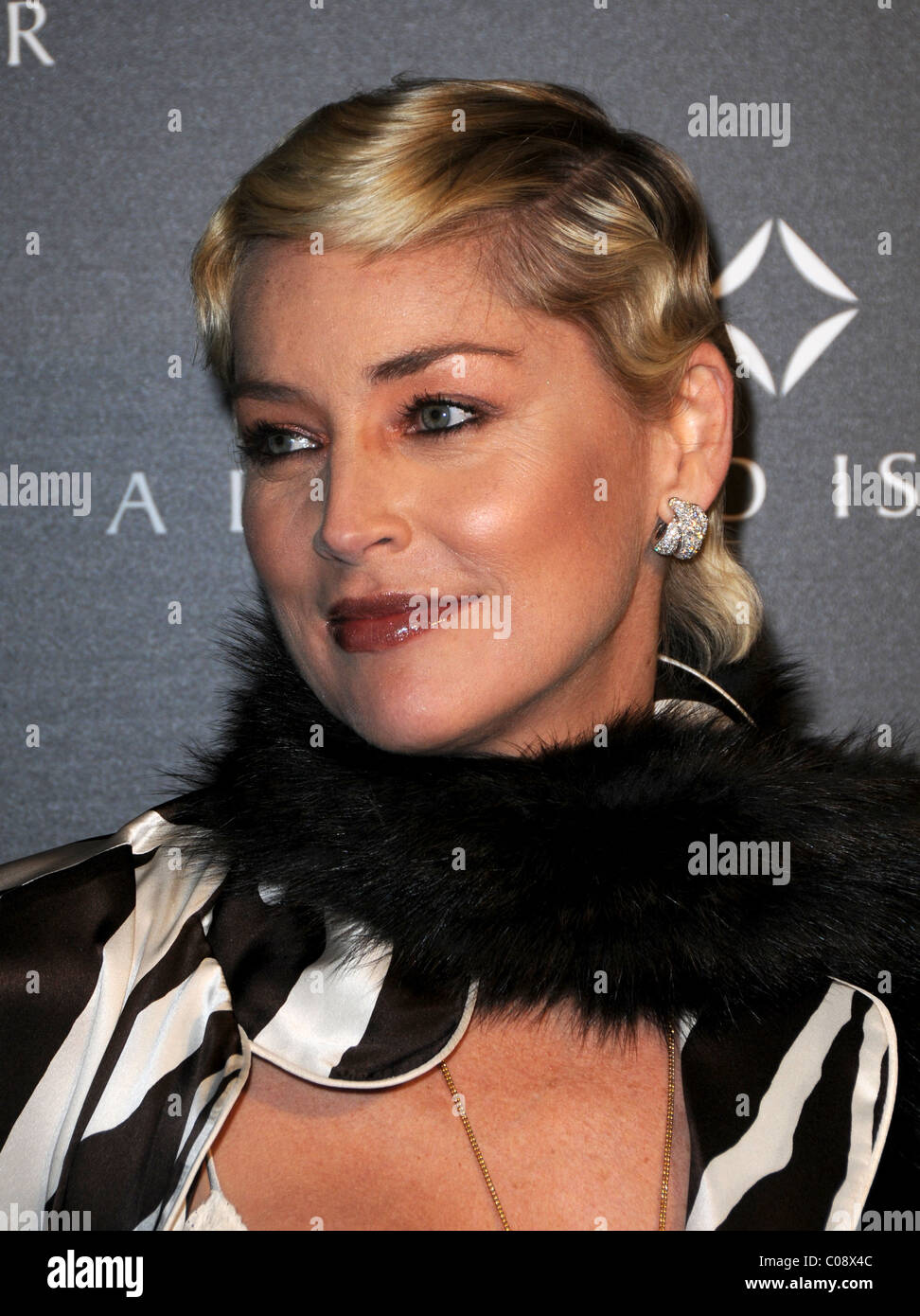 Sharon Stone Diamond Information Center Gala Dinner Hosted by Julianne ...