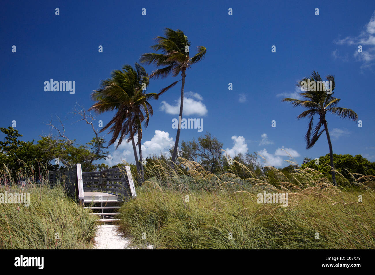 Florida Beach access steps Stock Photo - Alamy