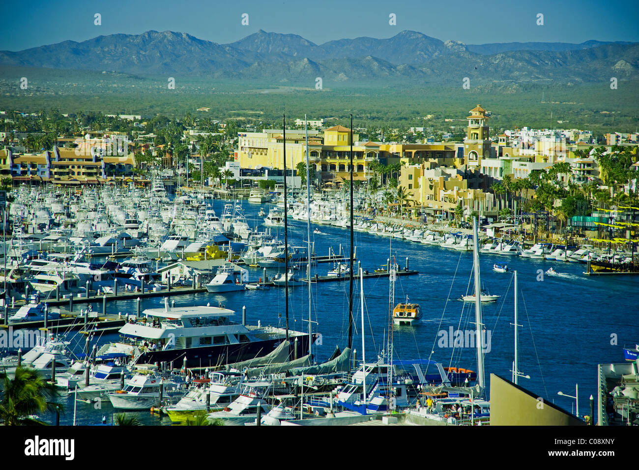 warm evening on pacific ocean San Lucas bay marina fishing boats yachts ...