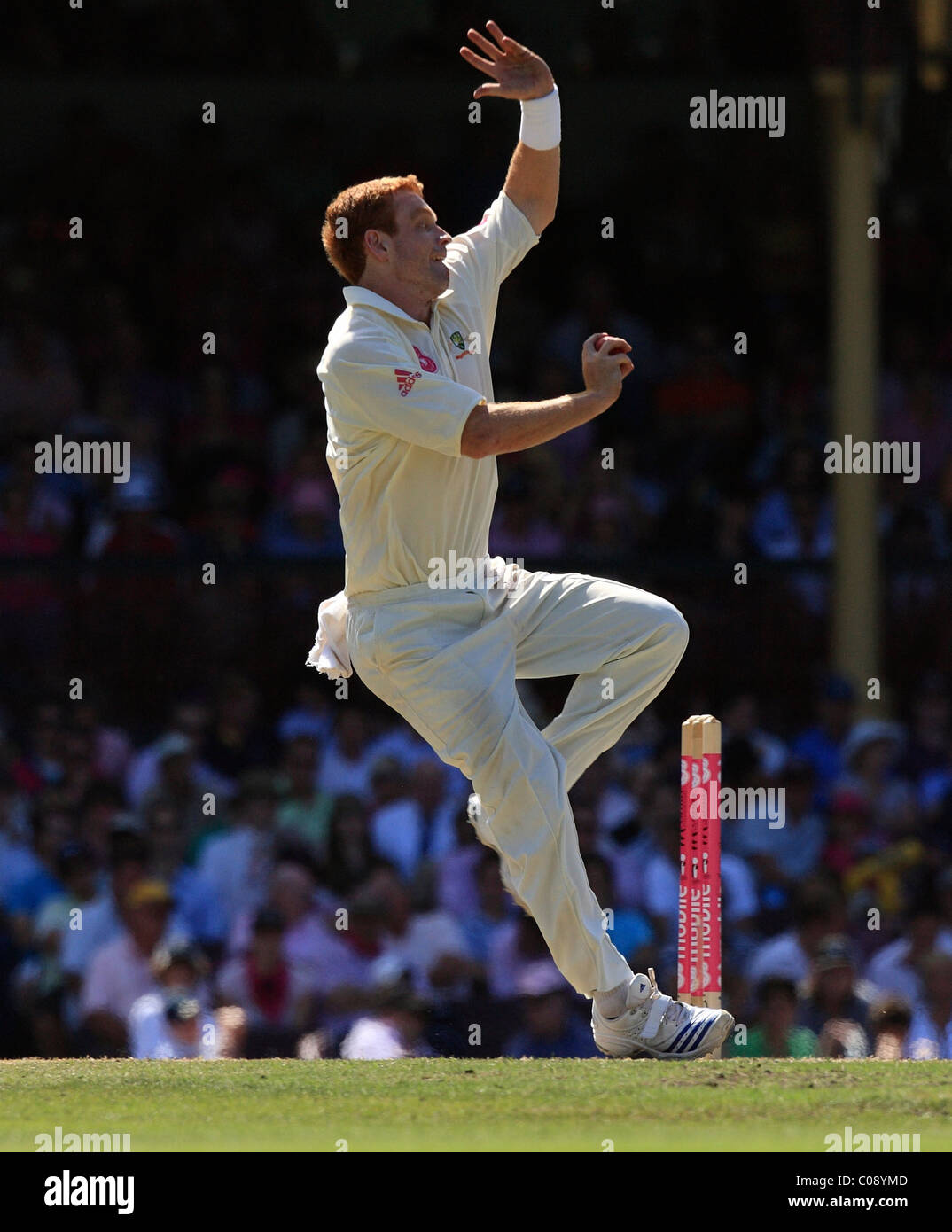 Andrew mcdonald cricket hi-res stock photography and images - Alamy
