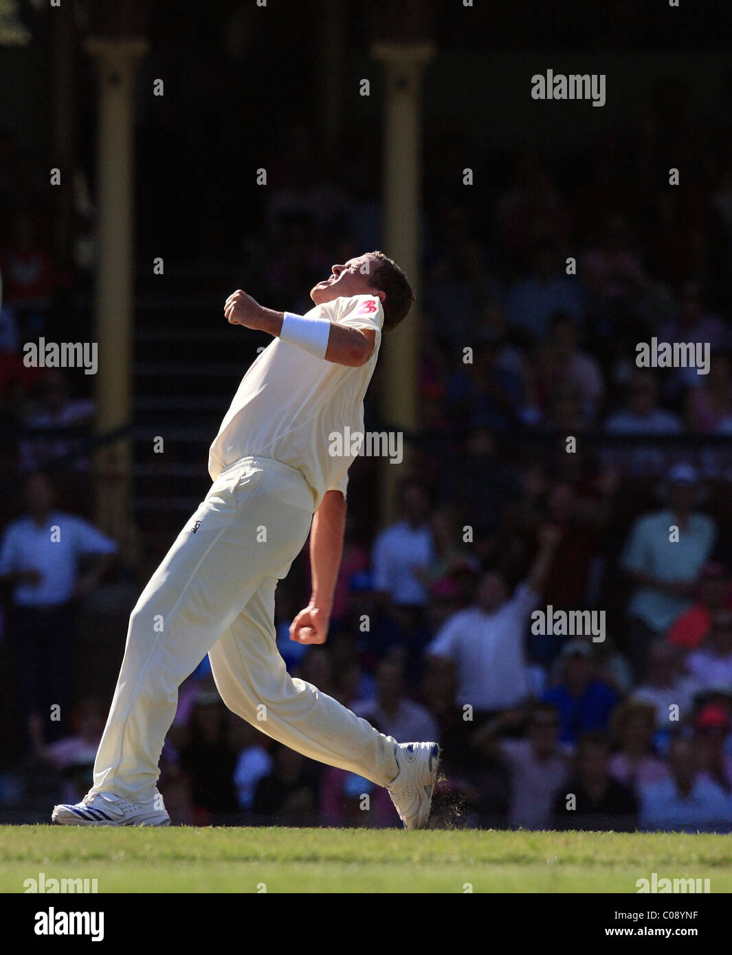 South african bowler paul harris hi-res stock photography and images ...