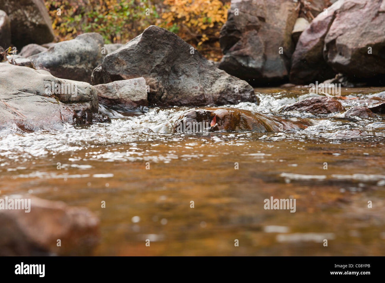 Stream with a little water hi-res stock photography and images - Alamy