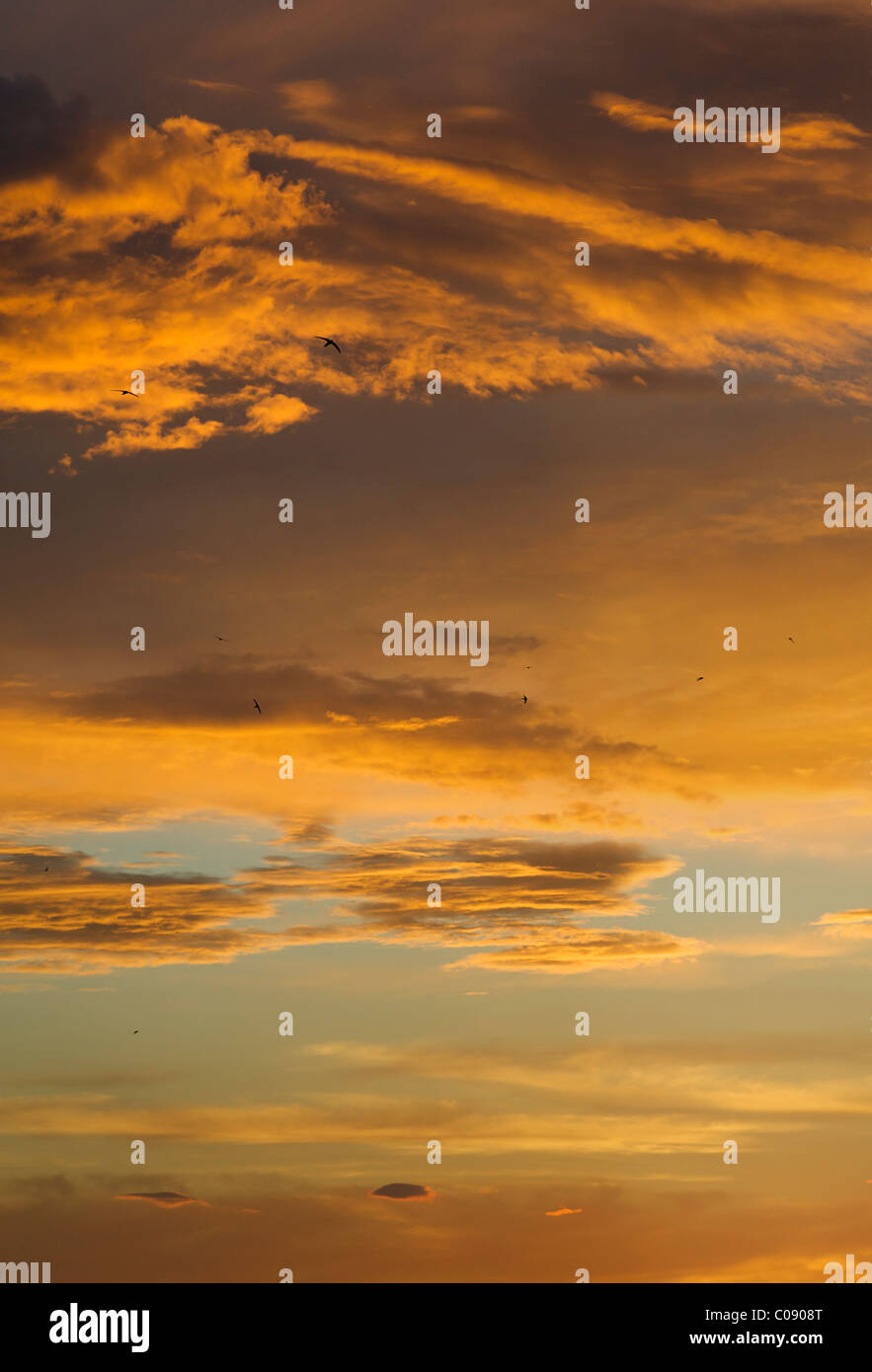 Central Asian sky at sunset Stock Photo - Alamy