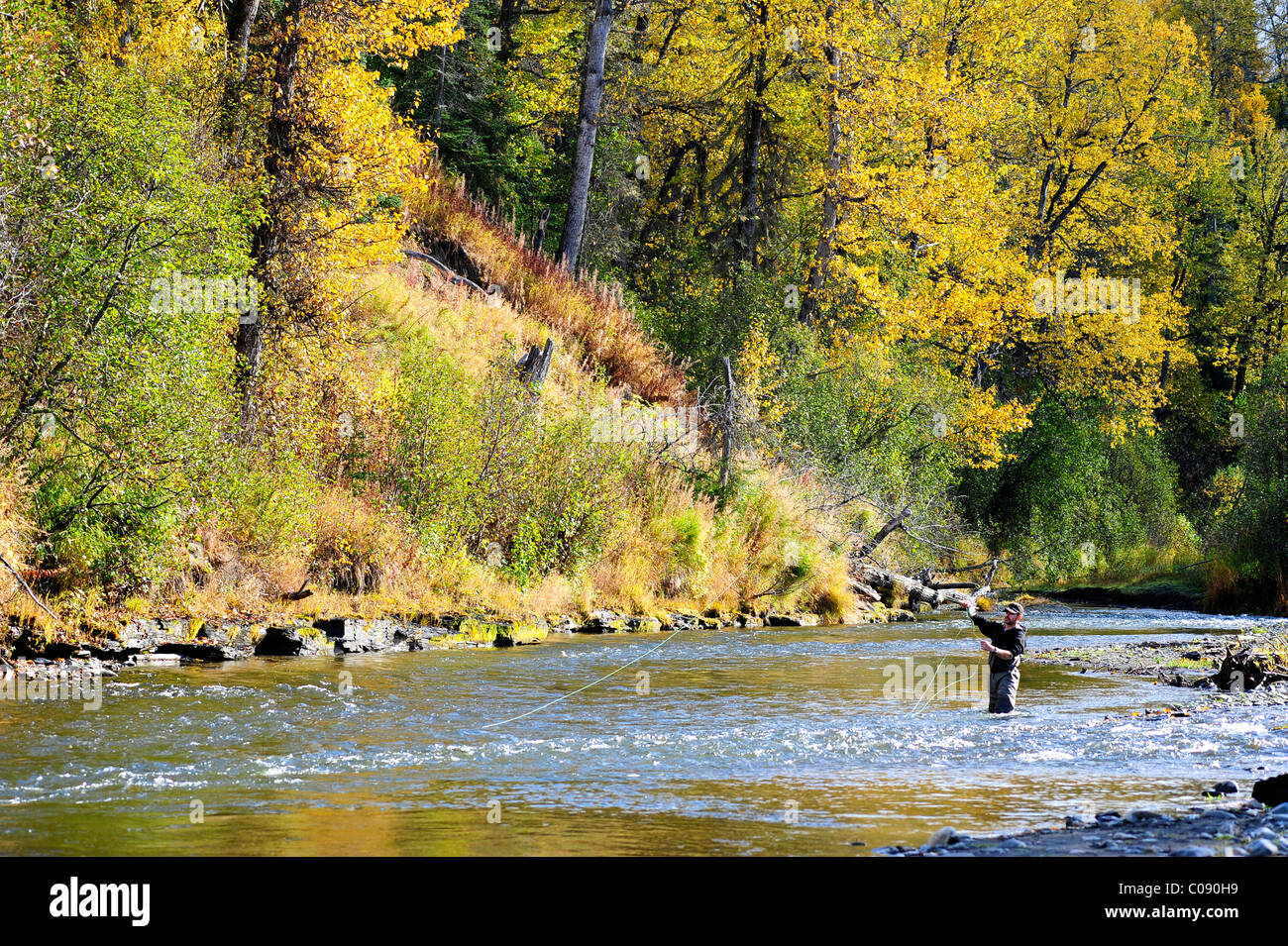 Flyfisherman casts for wild Steelhead on Deep Creek, Kenai Peninsula ...