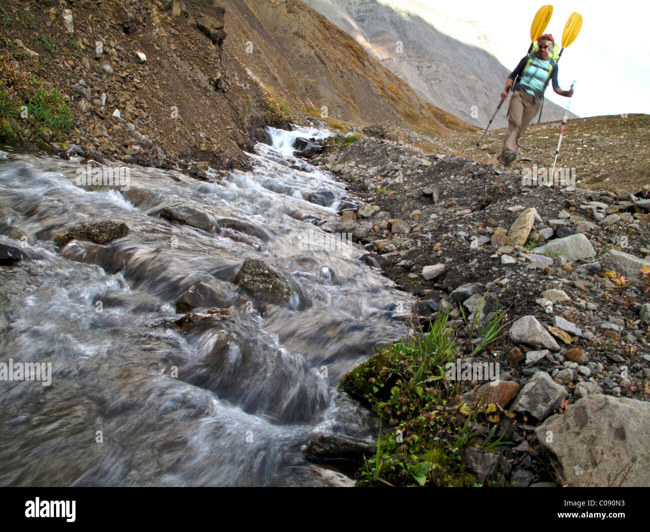 Human Sanctuary High Resolution Stock Photography and Images - Alamy
