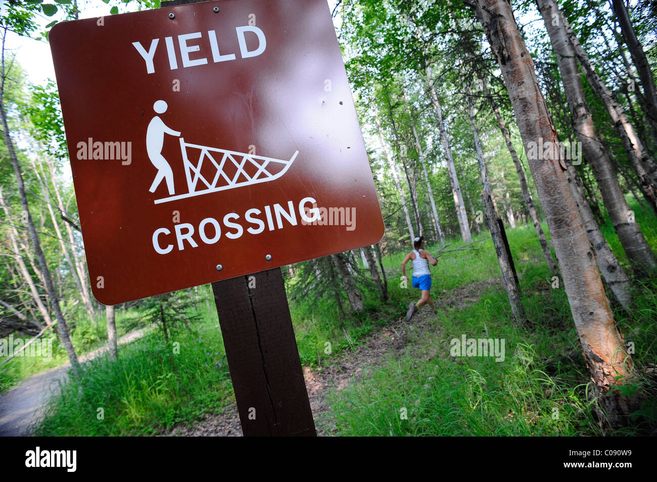 Female jogger runs past a dog sled crossing sign on the Far North ...