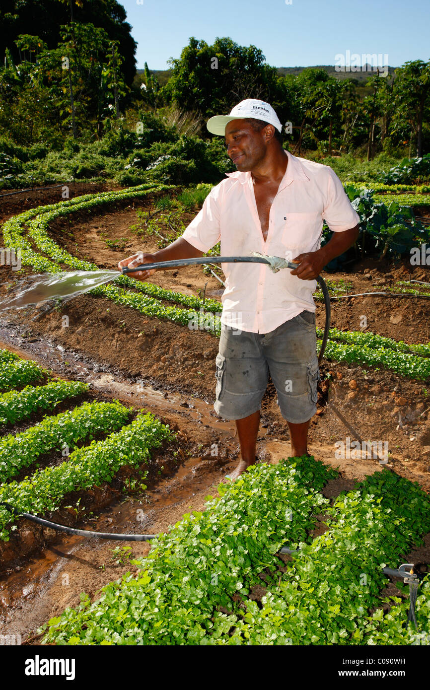 Farmer irrigating brazil hi-res stock photography and images - Alamy