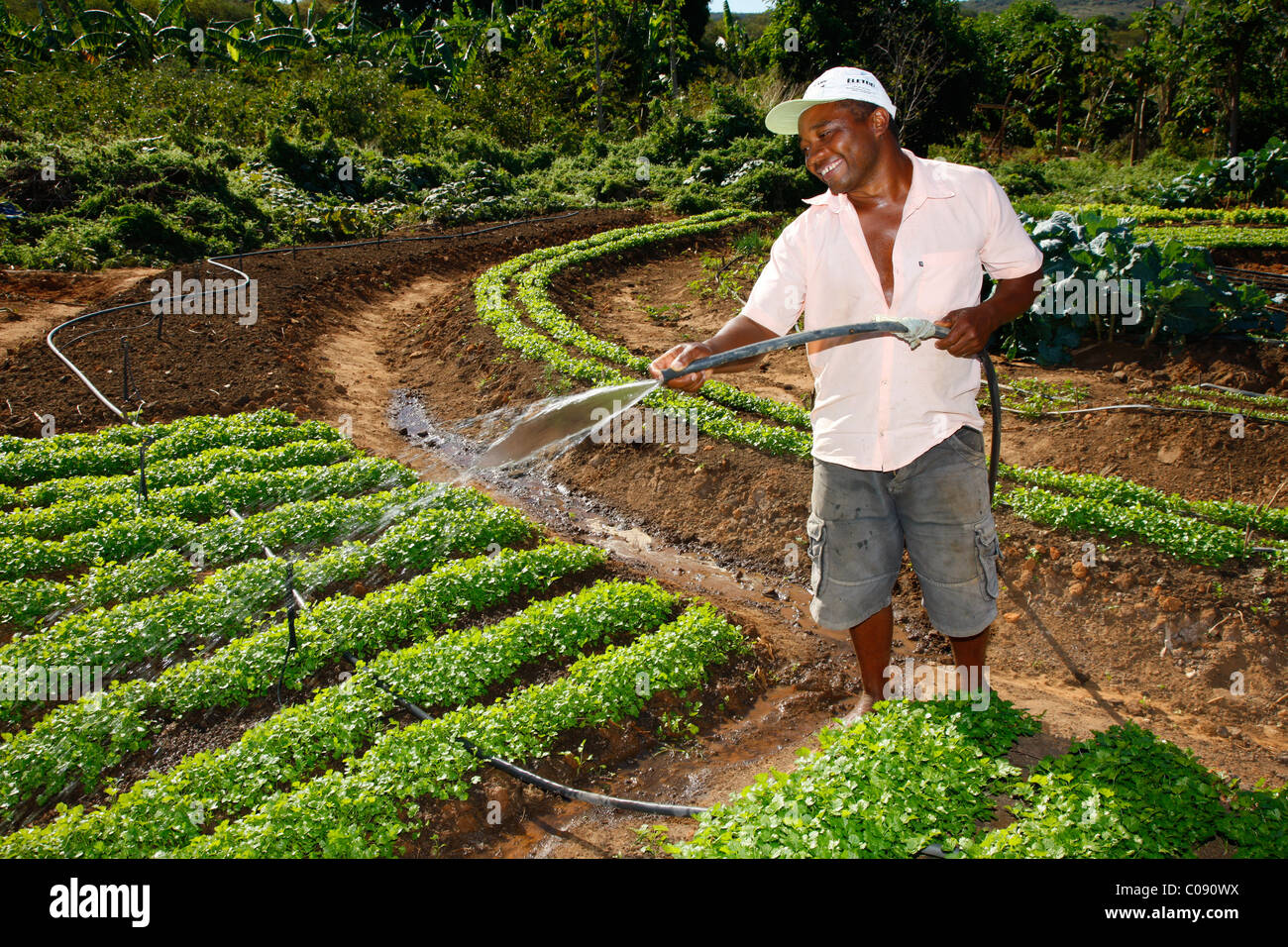Farmer irrigating brazil hi-res stock photography and images - Alamy