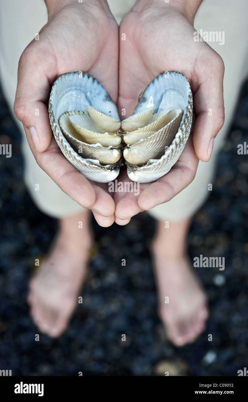 Settlers cove state recreation site hi-res stock photography and images ...