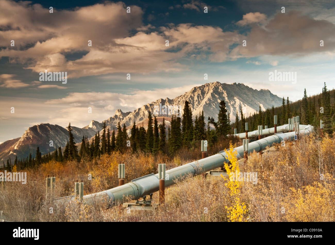View of the Trans Alaska Pipeline winding next to the Dalton Highway ...