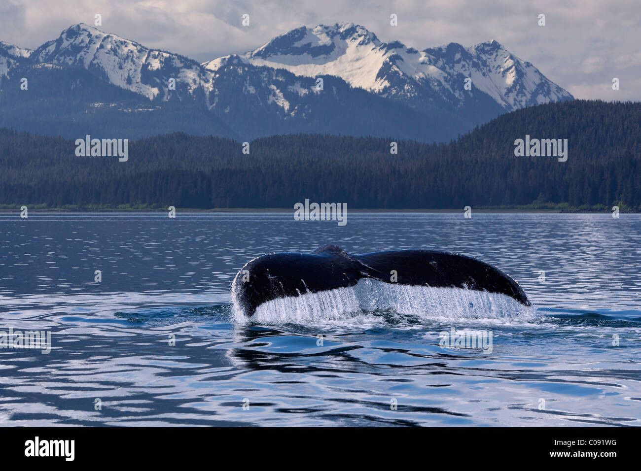 Deep water canal hi-res stock photography and images - Alamy