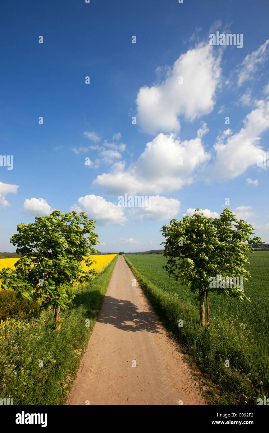 Landscape with road and cloud formations, Vulkan Eifel region ...