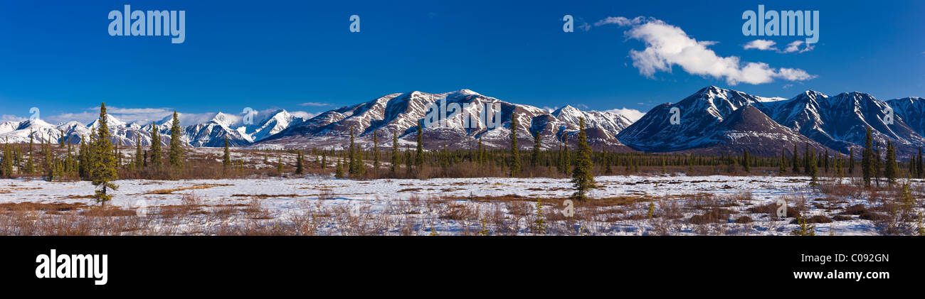 Panoramic view of the Alaska Range foothills in Broad Pass along the ...