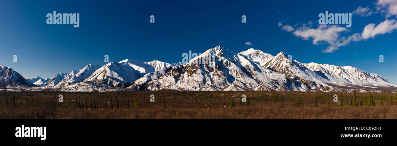 Denali alaska town hi-res stock photography and images - Alamy