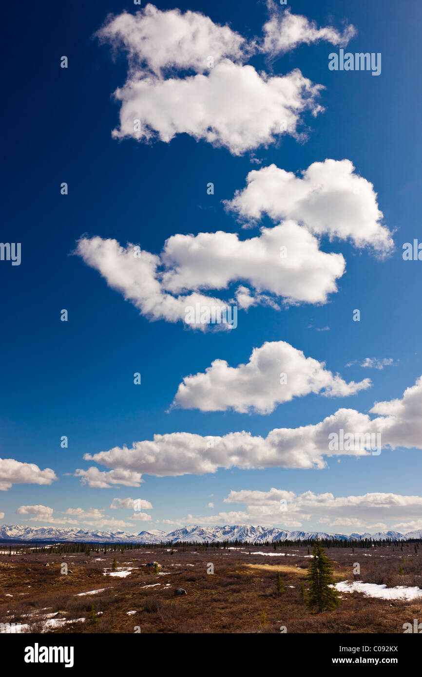 View of the Alaska Range along the Denali Highway just before the ...