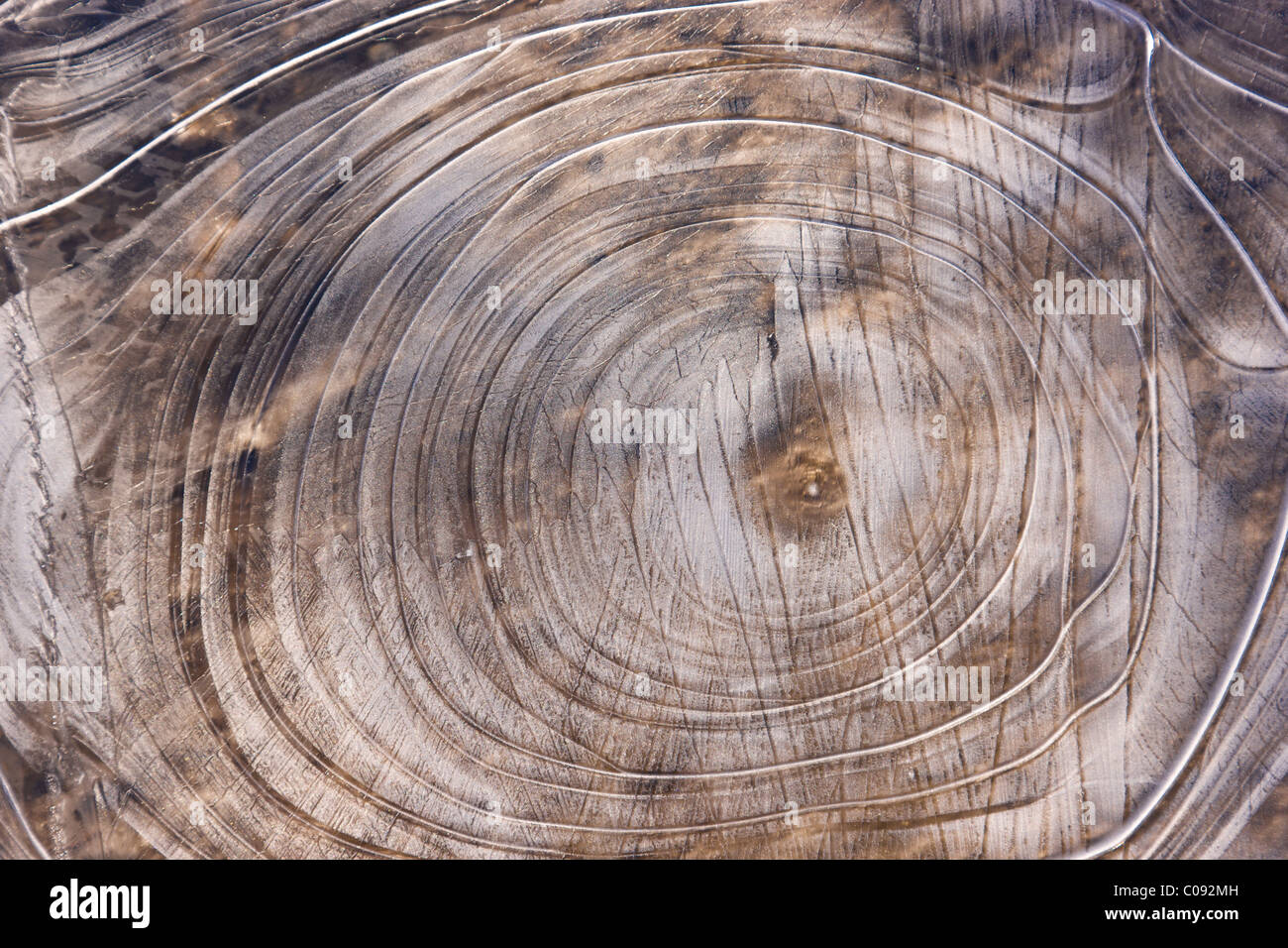 Frozen pothole detail along side of the Denali Highway, Southcentral ...