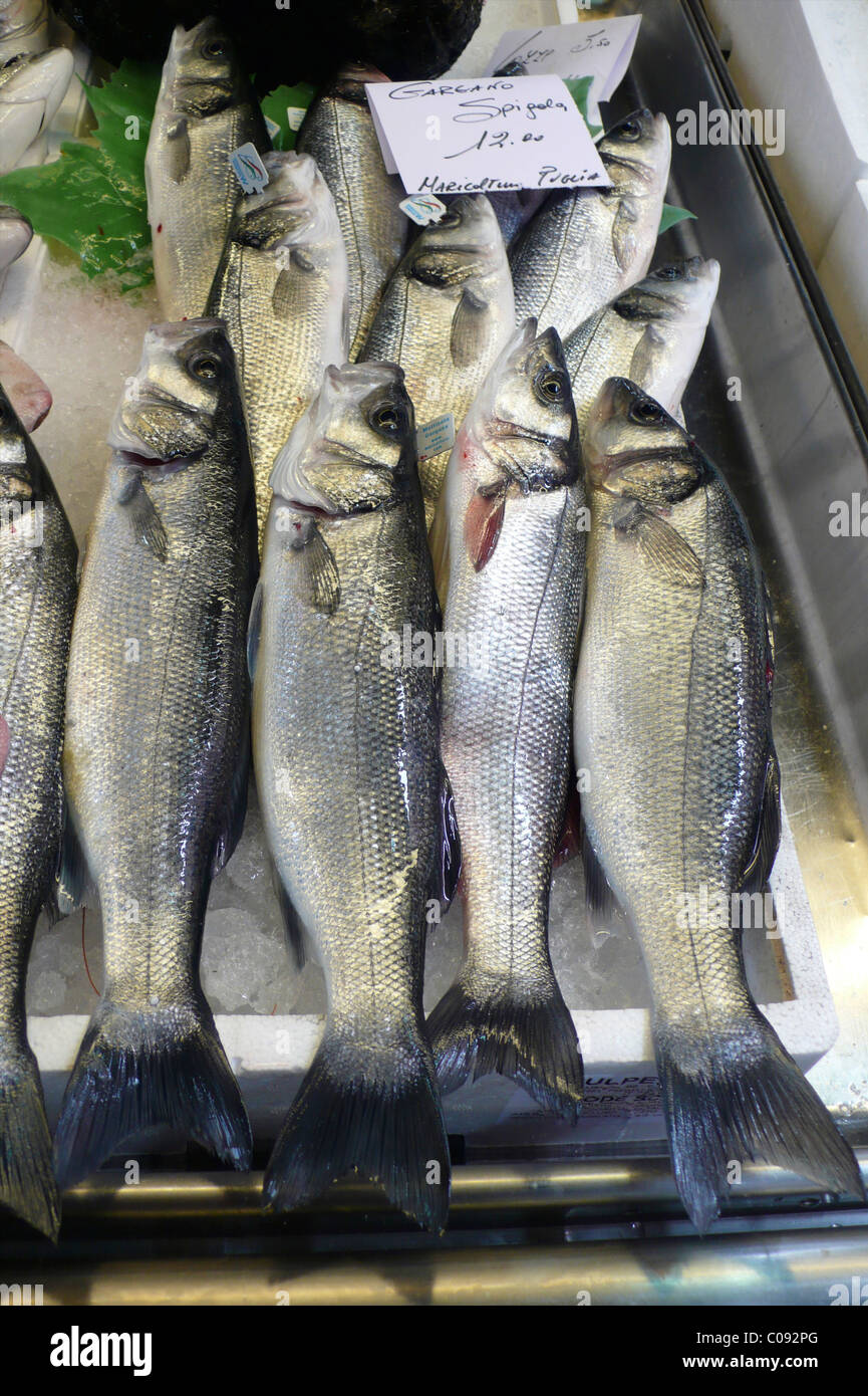 Fish on sale in the fish markets of Venice Stock Photo - Alamy