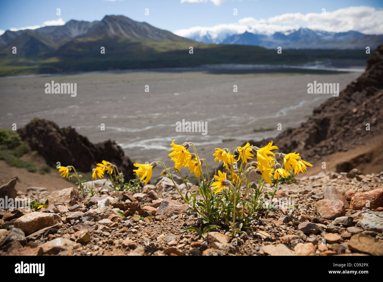 Thorofare valley alaska range denali hi-res stock photography and ...